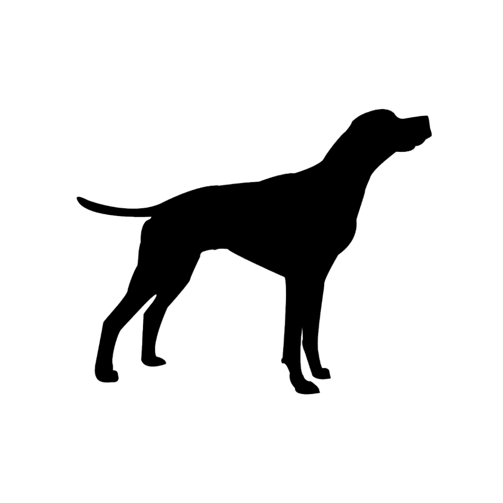 Book Cover Design – Storyhound